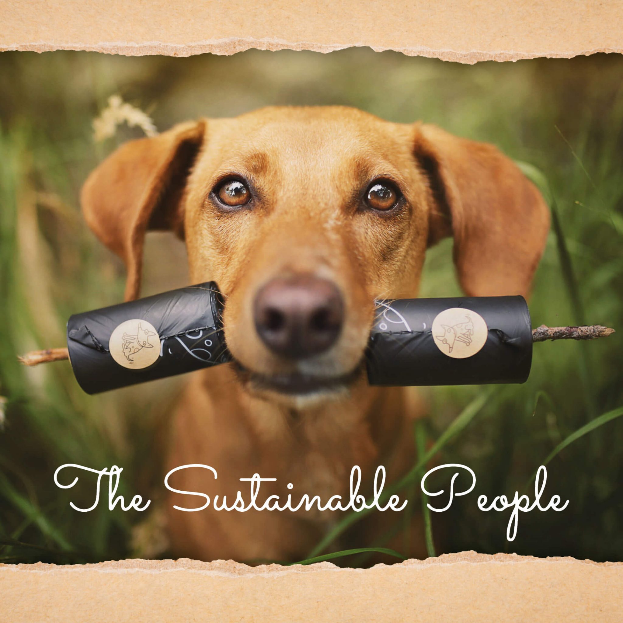 The Sustainable People is landing in Greece! - tiloc.gr